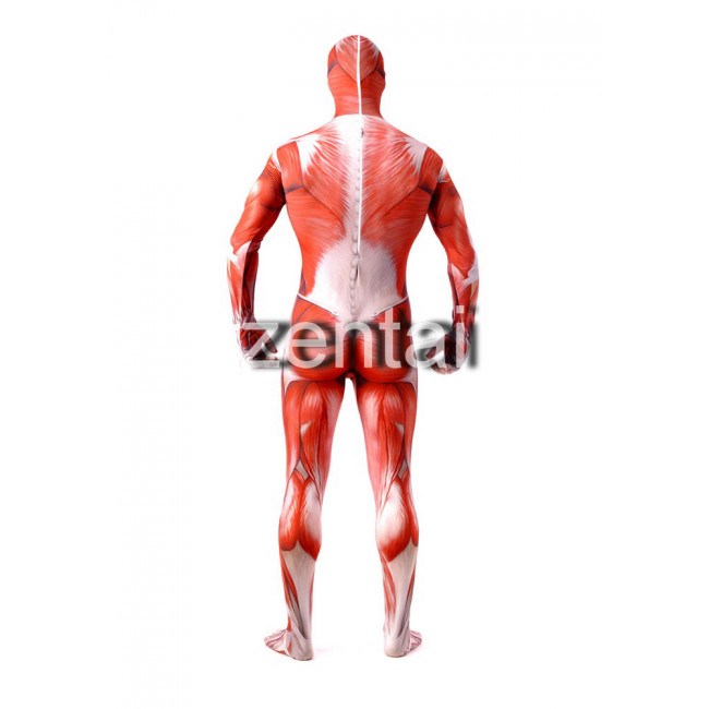 Shingeki no Kyojin Attack on Titan Colossal Titan Cosplay Costume/ Buy ...